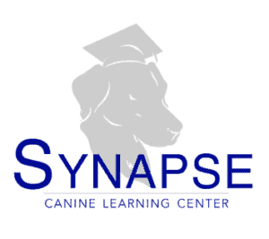 Pricing | Synapse Canine