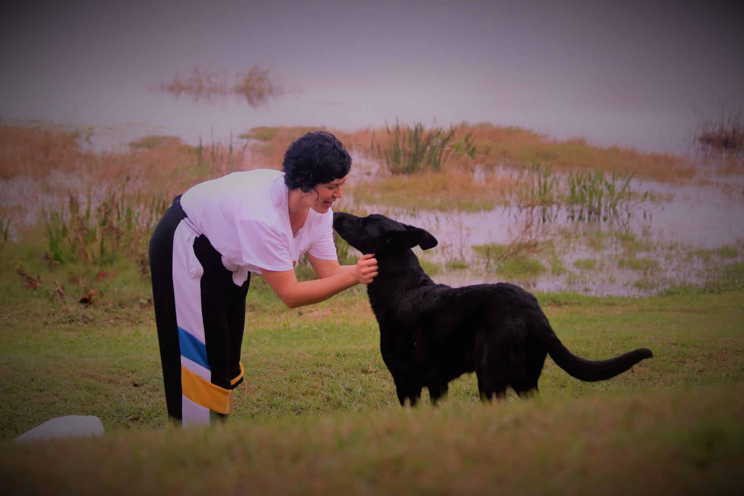 Pricing | Synapse Canine