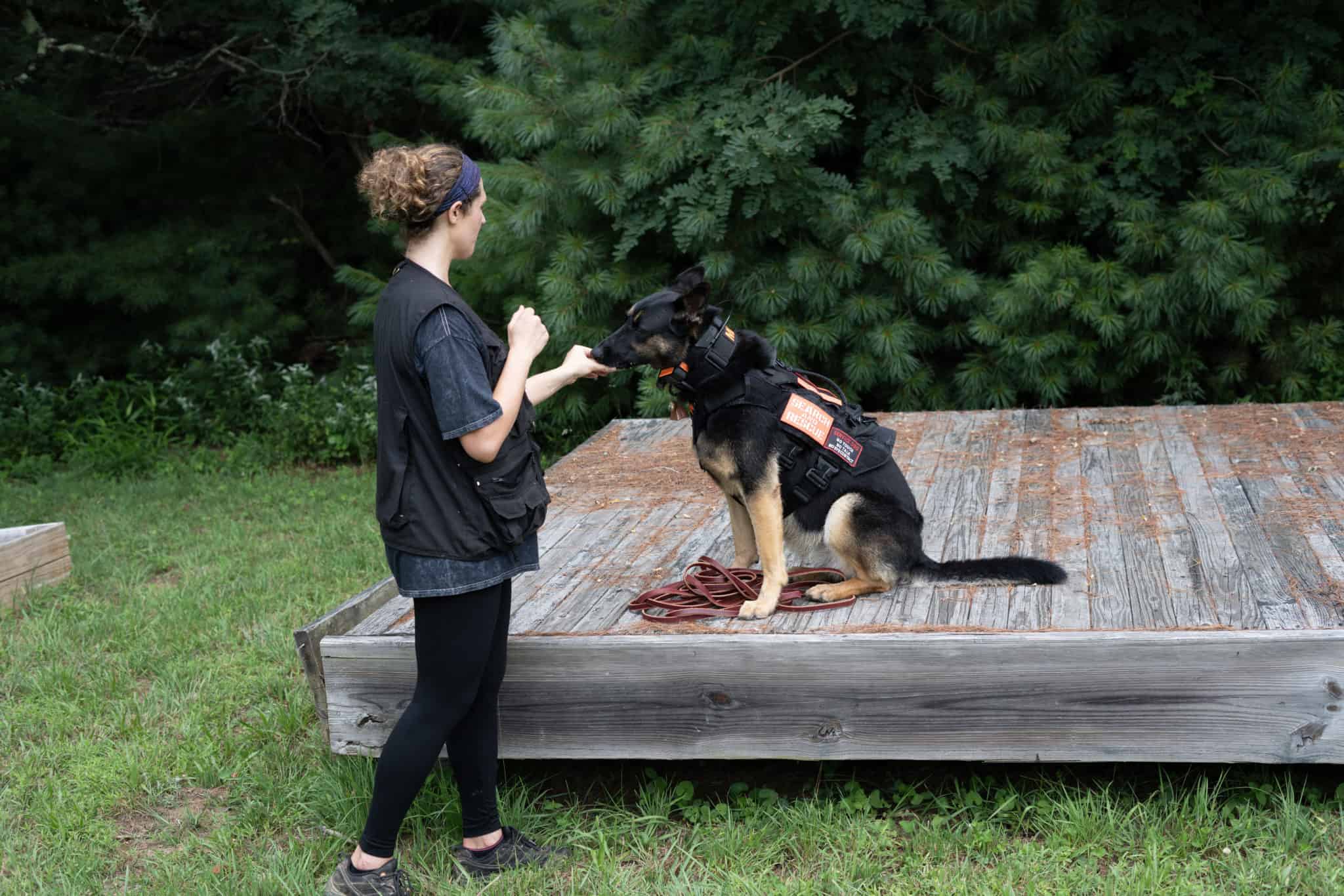 About Our Team | Synapse Canine