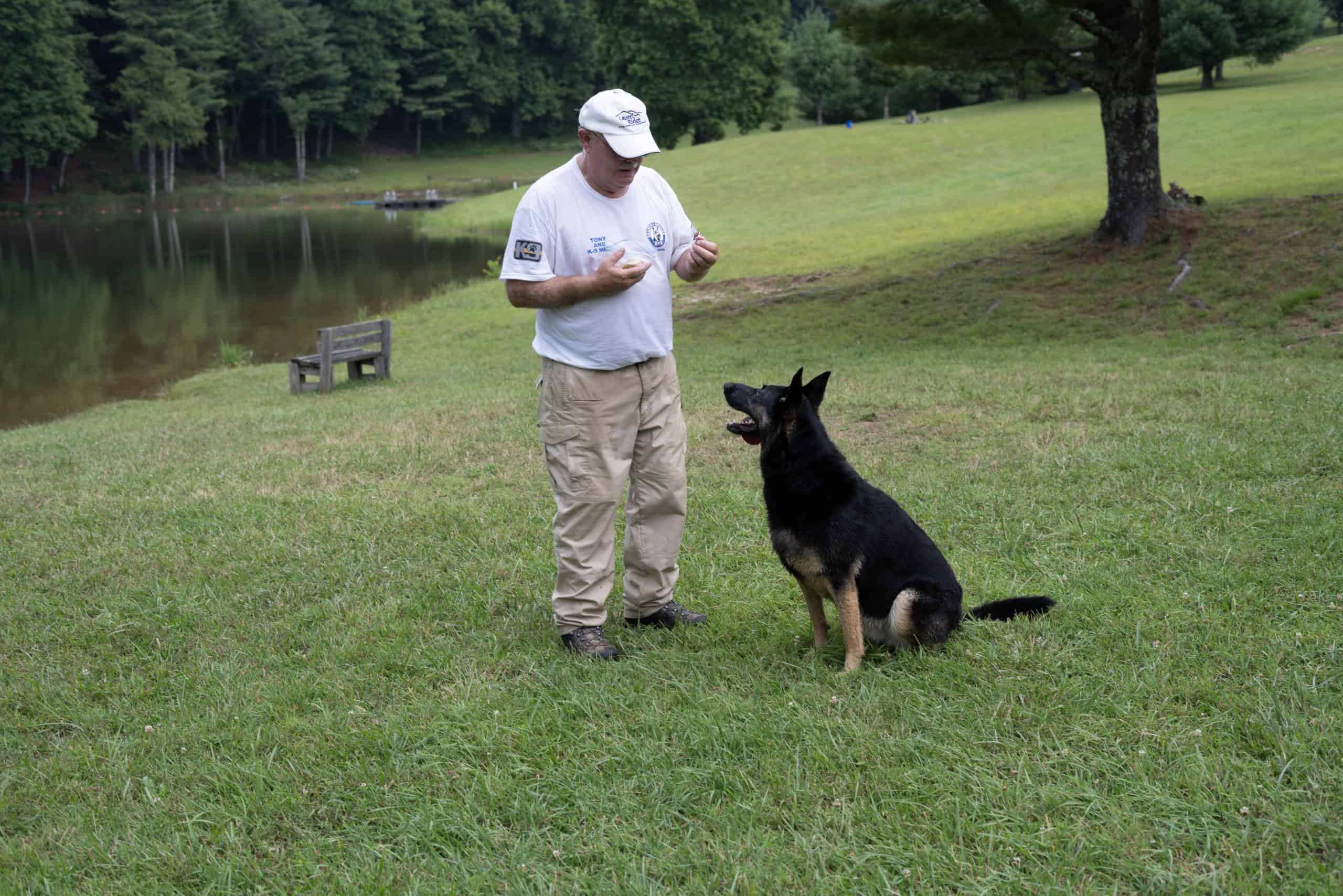 K9 Partner Pairing Program | Synapse Canine