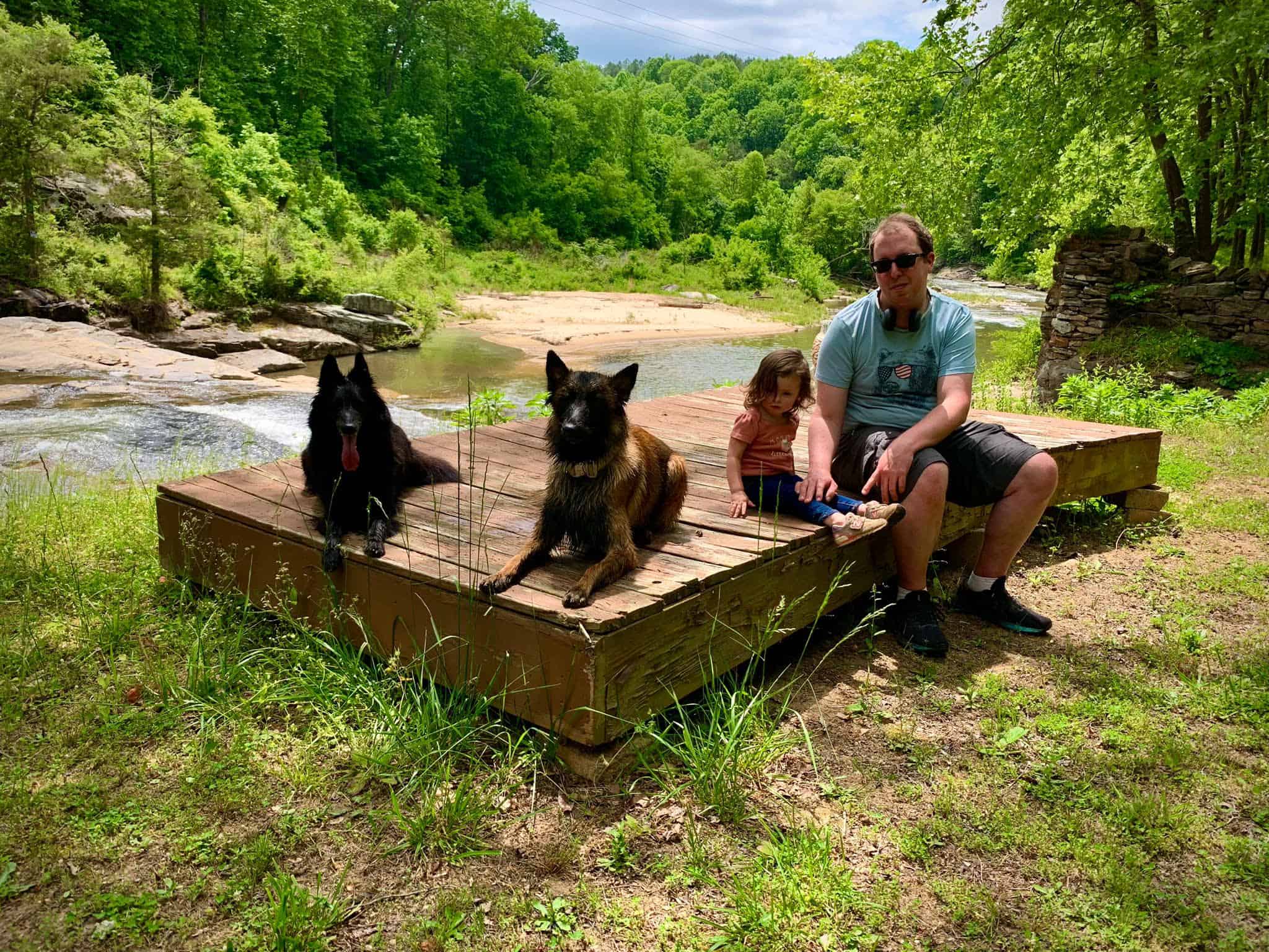 About Our Team | Synapse Canine